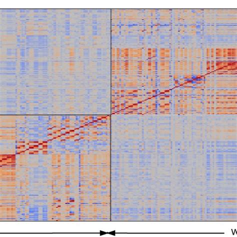 Heatmap Showing Pairwise Correlation Values Between All The 336 Download Scientific Diagram