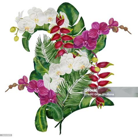흰색 난초 꽃과 붉은 헬리코니아 잎과 열대 꽃 배열 흰색 배경에 수채화 손 그린 그림 웨딩 디자인 인사말 배경 화면 패션을위한 식물 예술 개화기에 대한 스톡 벡터 아트 및