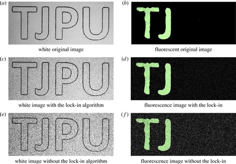 Original Images The Images With The Lock In Algorithm And The Images Download Scientific