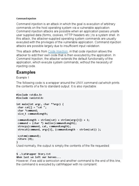 Command Inj Overflow Pdf Parameter Computer Programming Programming