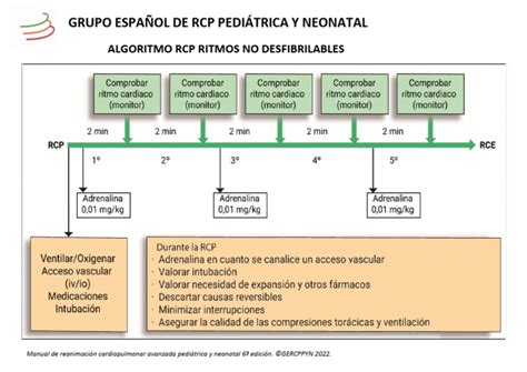 5 Algoritmo Rcp Avanzada Ritmos No Desfibrilables Horizontal Dina3 Y A4 Pdf