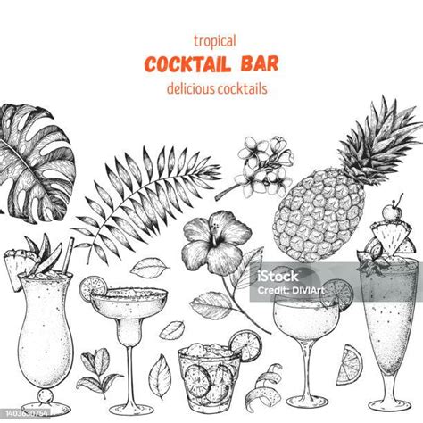 알코올 칵테일 손으로 그린 벡터 일러스트레이션 칵테일 스케치 세트 각인 된 스타일 열대 컬렉션 여름 시간 Gin Tonic에 대한 스톡 벡터 아트 및 기타 이미지 Istock