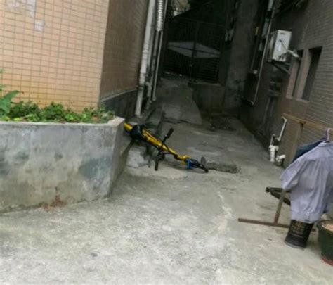 共享單車被私用，還加了把鎖，我直接把鎖眼堵了，看他怎麼騎 每日頭條