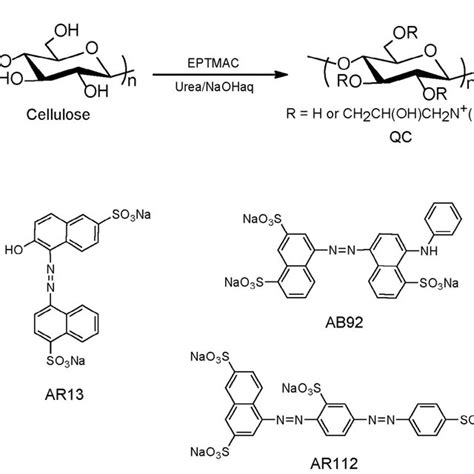 Scheme Of The Preparation Of Quaternized Cellulose Qc From Cellulose Download Scientific