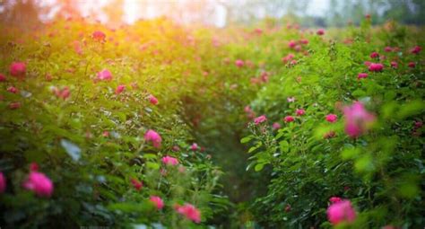 那些记忆深处的曾经 知乎