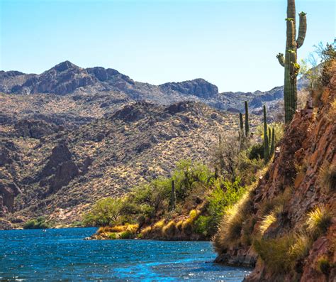 Fishing Saguaro Lake Desertusa