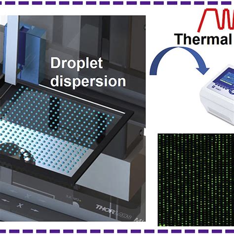 Droplet Digital PCR Enabled By Microfluidic Impact Printing For Absolute Gene Quantification
