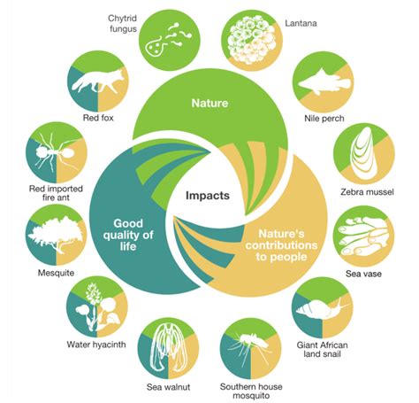 생물다양성 우리는 6차 대멸종 시대에 살고 있다
