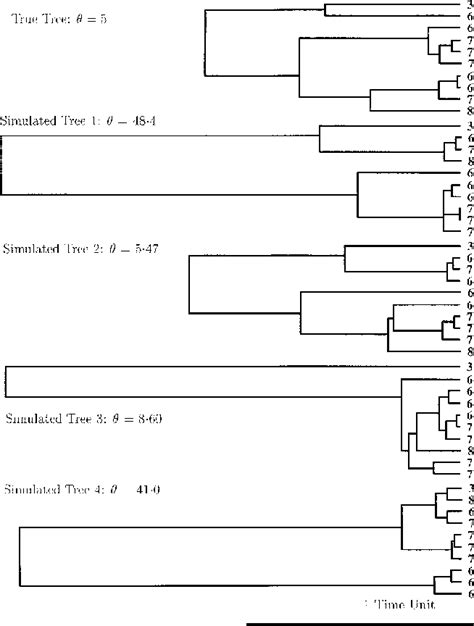 Figure 1 From Genealogical Inference From Microsatellite Data Semantic Scholar