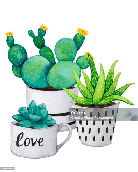 세라믹 냄비에 선인장과 다육 식물의 수채화 구성 카드 포스터 발표 문구류 로고 광고 등을 위한 다채로운 손으로 그린 테두리 0
