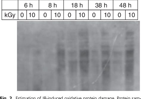 Figure 2 From Radiation Resistance Of Deinococcus Radiodurans R1 With Respect To Growth Phase