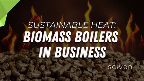 Sustainable Heat Biomass Boilers In Business Sciven