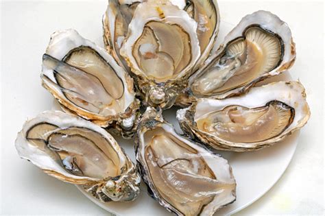 굴 열기 굴에 대한 스톡 사진 및 기타 이미지 굴 껍데기 날것 Istock