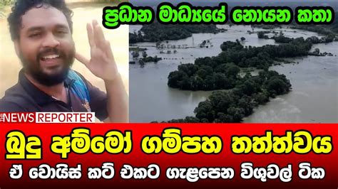 බුදු අම්මෝ ගම්පහ තත්ත්වය ඒ වොයිස් කට් එකට ගැළපෙන විශුවල් ටික Youtube