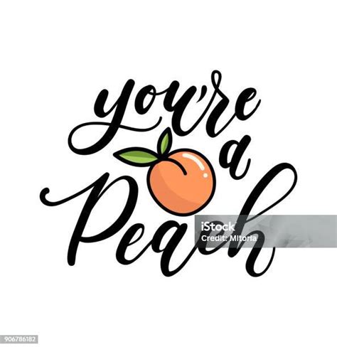 당신은 귀여운 복숭아와 견적 레터링 복숭아입니다 귀여운 손 과일로 서 그려 복숭아나무에 대한 스톡 벡터 아트 및 기타 이미지
