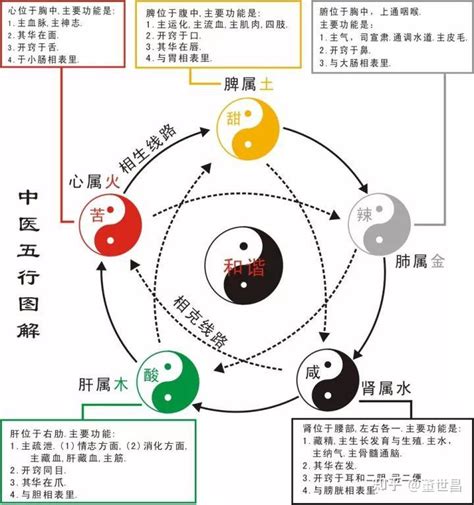 八段锦的顺序有什么讲究吗? 知乎 八段锦的顺序有什么讲究吗? 知乎