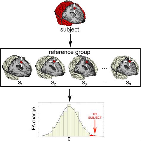 Tripartite Hypothesis Testing Framework Download Scientific Diagram