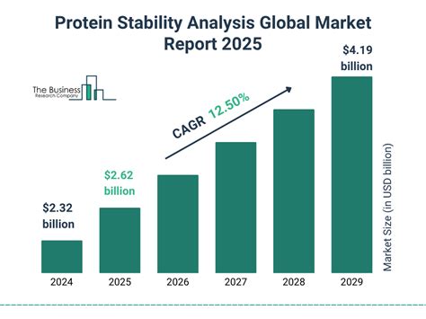 Protein Stability Analysis Global Market Demand Report 2025