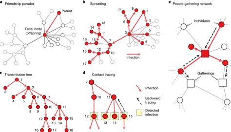 寻找超级传播者：病毒传播网络中的反向接触追踪 复杂性科学顶刊精选9篇 集智俱乐部
