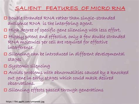Antisense Rna Technology Pptx