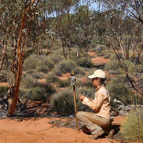Photo Gallery Behavioural Ecology And Conservation Lab