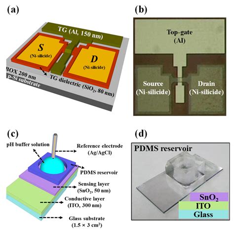Reactance And Capacitance Sensing Platform For Detecting Microorganisms At Kevin Tejeda Blog