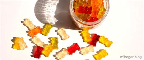 Aspitos Lidl Todo Sobre Estos Snacks Bio Para Bebés Mi Hogar