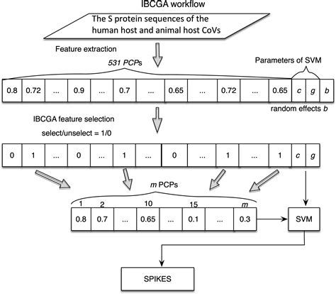 Cell Press Star Protocols