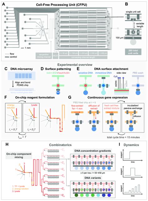 Overview Of The Cfpu Architecture And Functionality Download Scientific Diagram