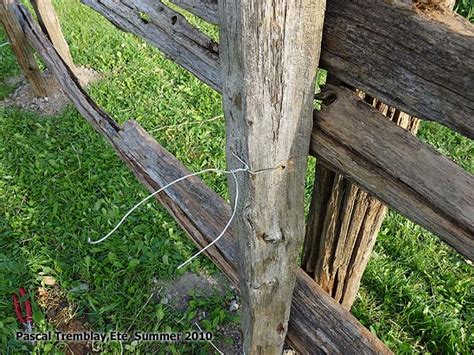 Building Split Rail Fence Landscaping With Rustic Rail Fence