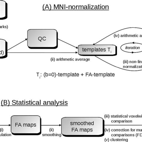 Analysis Schemes For Cross Sectional Comparison A Schematic Example Download Scientific