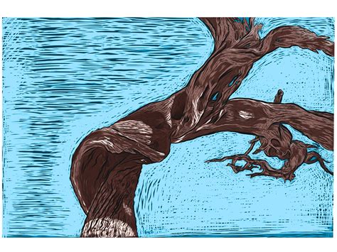 Gnarled Tree On Behance