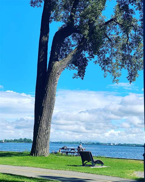 Ramin Khodaie Drraminkhodaie • Instagram Photos And Videos