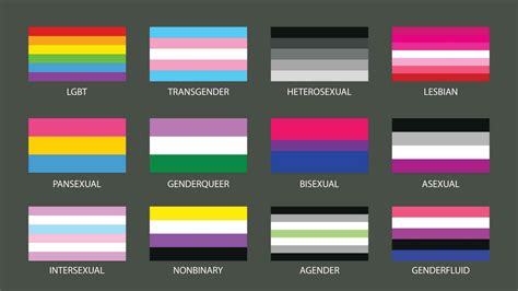 Set Simple Sexual And Gender Colorful Flags Vector Art At Vecteezy