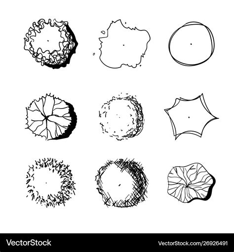 Tree Top View Drawing