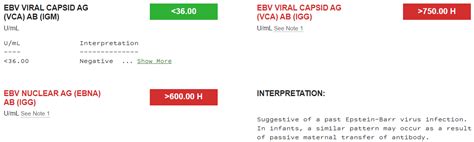 Interpreting Ebv Antibody Panel Results R Cfs