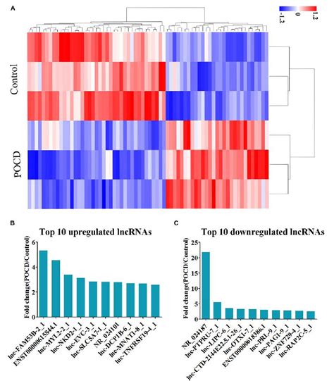 Figure 1 From Microarray Expression Proﬁles Of Lncrnas And Mrnas In Postoperative Cognitive