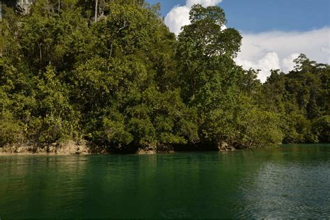 2 Activities 03 Observation Tabari Dive Lodge