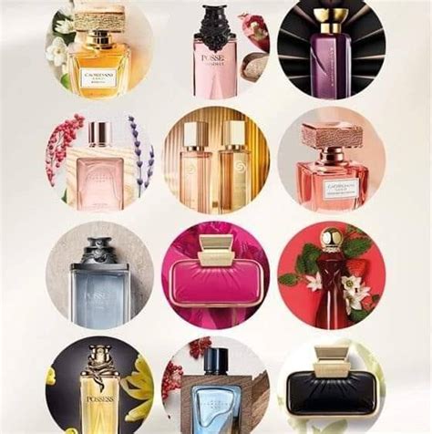 Швед гоо сайхан эрүүл мэнд таны гарт