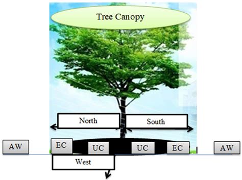 Experimental Design Of The Sampling In The Field Work Download Scientific Diagram