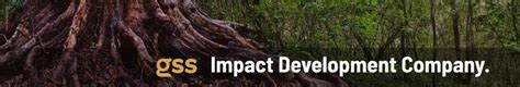 gss impact development company linkedin