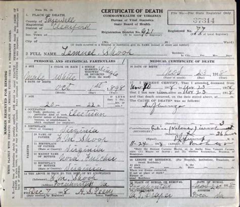 Shupe Lemuel Shoop Certificate Of Death Commonwealth Of Virginia 1918