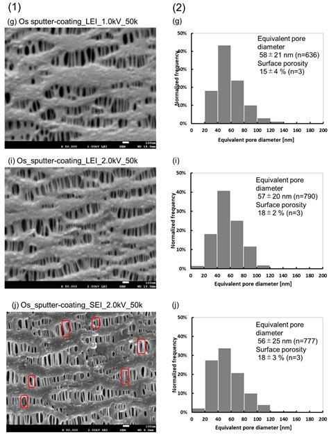 Determining Accurate Pore Structures Of Polypropylene Membrane For Ecmo Using Fe Sem Under