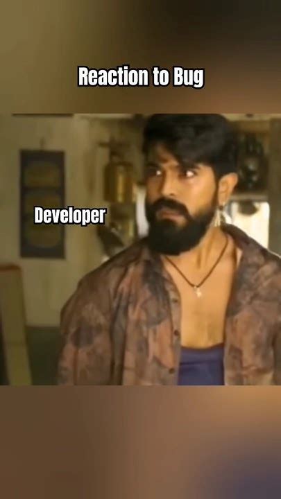 Reaction To Bug Funny Software Trending Memes Softwaredeveloper Comedy Ytshorts Views