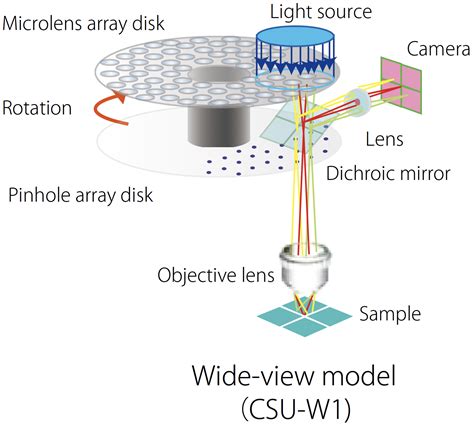 Cbis Lm Core Live Sr Spinning Disk Confocal With Tirf Nus Biological Sciences Nus