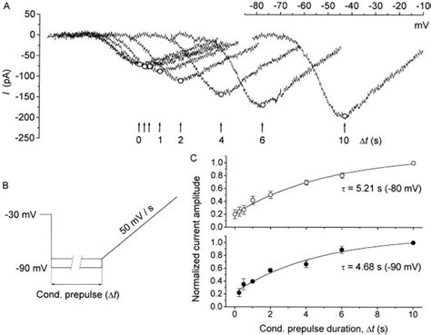 Time Dependence Of Recovery From Inactivation Of Inap The Voltage
