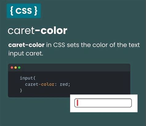 Talha Tariq On Linkedin Css Caret Programming Javascript