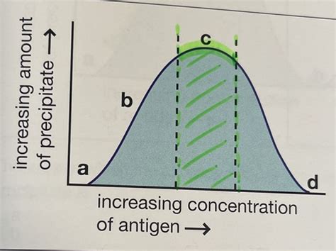 Immunology Serology Boc Ascp Flashcards Quizlet