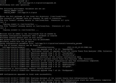 Oracle Rac Grid Cluster Upgrade