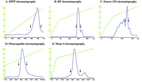 Purification Of Refolded Rhil 17a Variant Panel A Sp Sepharose Fast